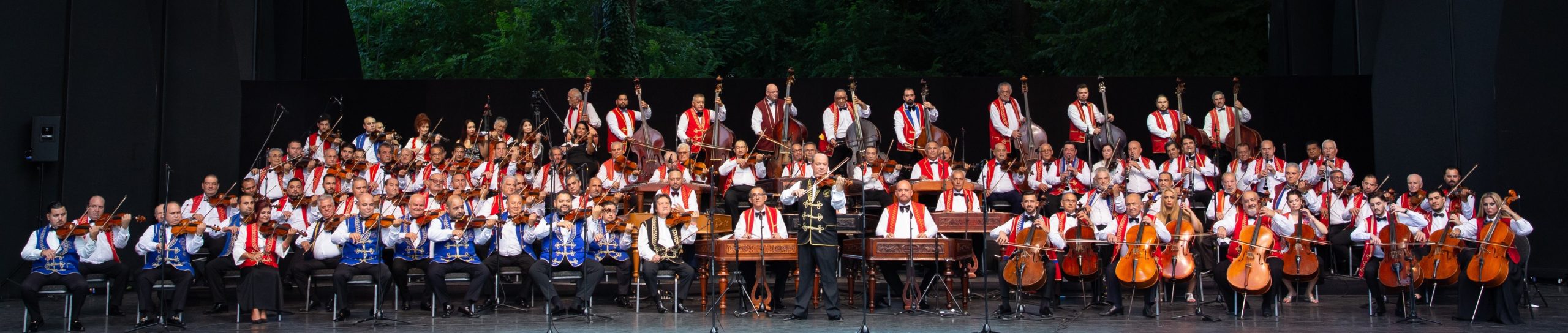 BUDAPEST GYPSY SYMPHONY ORCHESTRA - FROM CSARDAS TO WALTZ - THE Slovenia